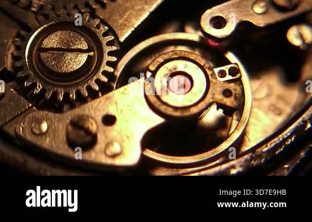 Close-up macro footage showing the internal mechanical movement of an ...