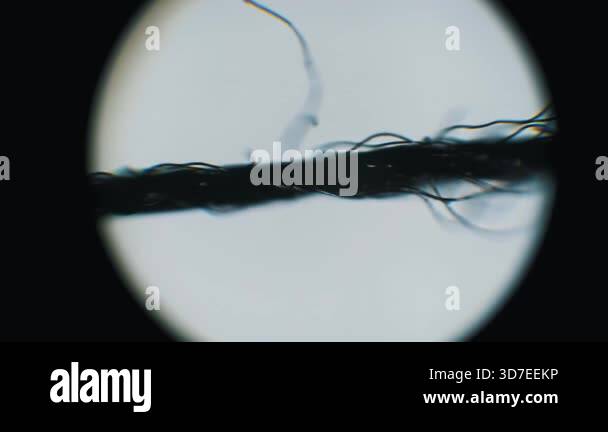 Ocular view moving along a black yarn structure, showing loose ...