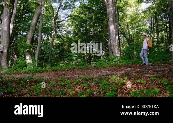 Woman hiking with backpack through a lush forest, enjoying the natural ...