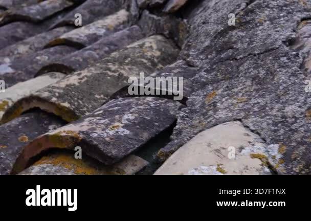 Weathered tiles. Antique Italian terracotta tiles with visible signs of ...