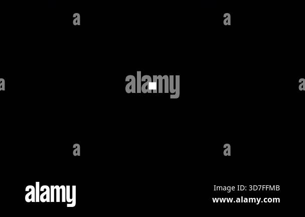 Looping Loading Animation With Dynamic Progress Motion Stock Video ...