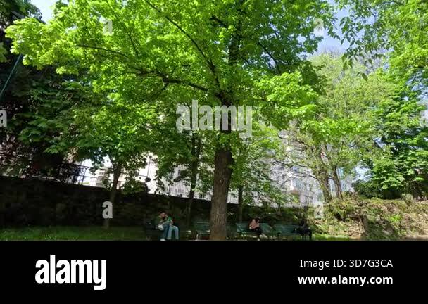 People relaxing under trees in Milan park Stock Video Footage - Alamy