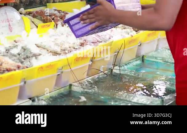 Ice being spread over seafood at market Stock Video Footage - Alamy