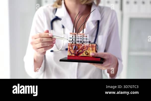Trichologist uses artificial skin model to show layers of hair. Woman ...
