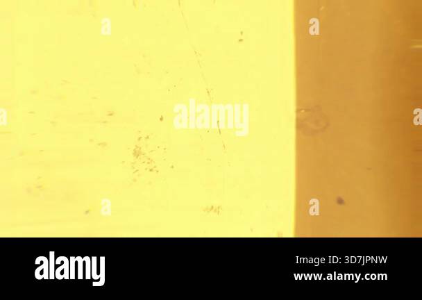 Retro projector style film flash loops with seamless animation. Perfect for overlays ...