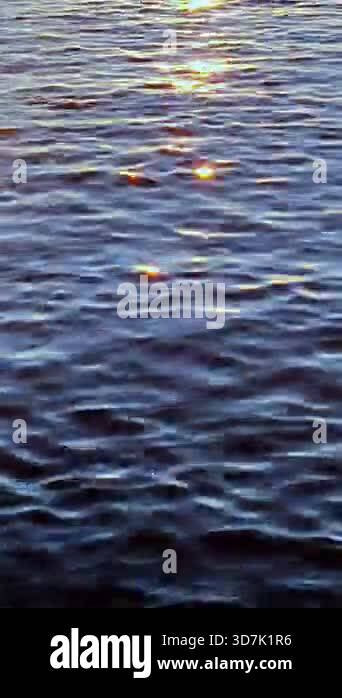 Vertical video with a fixed camera at a slightly high angle, showing ...