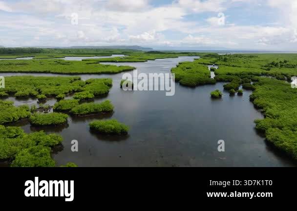 Clusters of mangrove islets spread across calm shallow water creating ...