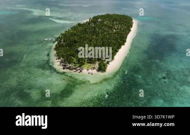 The island is surrounded by green palm trees, sandy shores, and ...