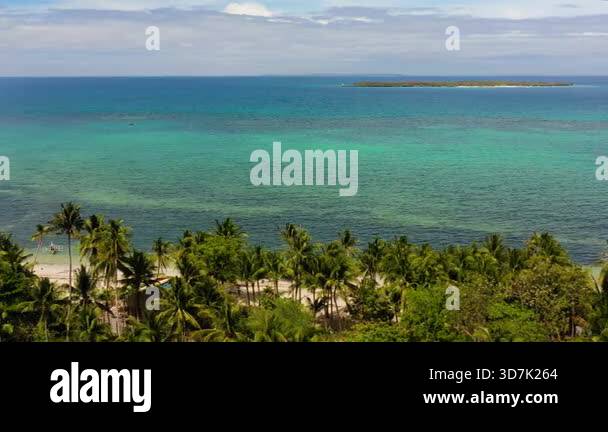 Coconut trees in tropical beach with coral reefs and turquoise sea ...