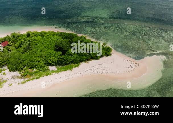 Isolated tropical islet with vibrant greenery and surrounding reef ...