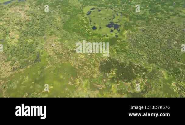 Lush vegetation and swamp forest over the Agusan Marsh Wildlife ...