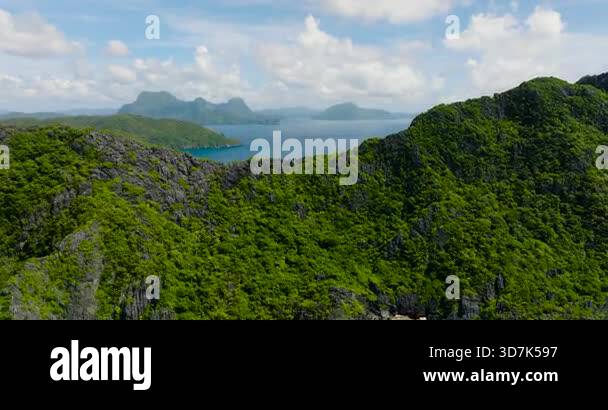 Green plants over the limestone rocks in Matinloc Island. El Nido ...