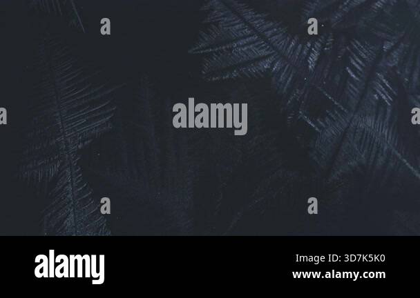 Real Timelapse Shot of Frost Texture Forming on Glass. Filmed with ...