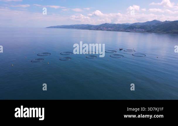 Footage of fish ponds, the main form of aquaculture. Salmon, sea bass ...
