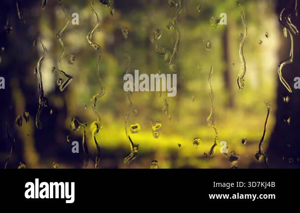 Rain days, rain falling on window surface on forest background. Concept ...