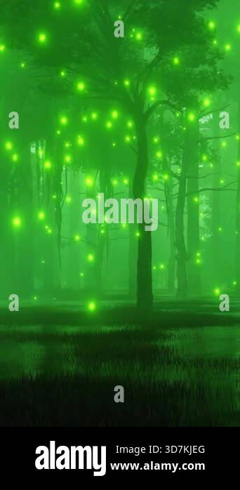 Panorama of mysterious forest swamp with mystic supernatural firefly ...