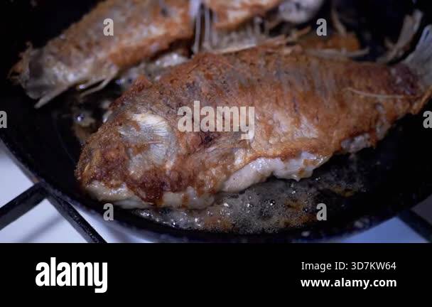 Golden brown fish sizzling and frying beautifully in a skillet ...