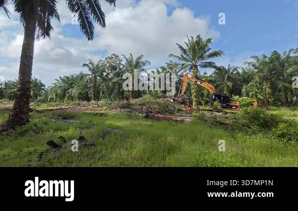 Perak, Malaysia. November 19,2025: Scene of Caterpillar Excavator with ...