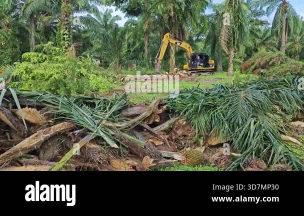 Perak, Malaysia. November 19,2025: Scene of Caterpillar Excavator with ...