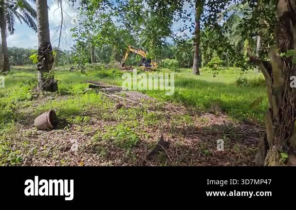 Perak, Malaysia. November 19,2025: Scene of Caterpillar Excavator with ...