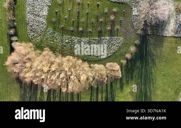 Aerial perspective captures a landscaped garden with trees and flowers ...