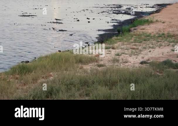 Decreasing water level in the Caspian Sea. Global warming and water ...
