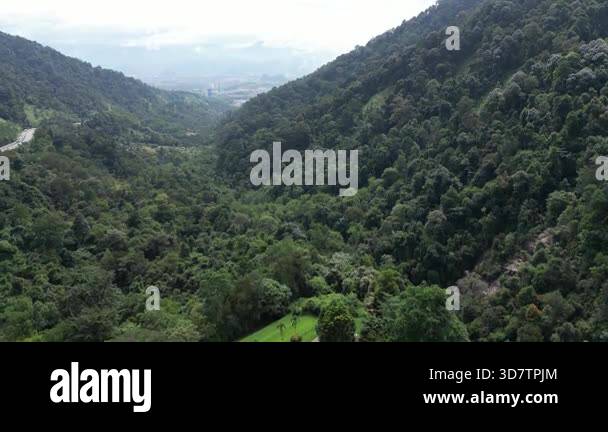 High angle aerial view of rainforest in Keledang Range, Ipoh, Malaysia ...