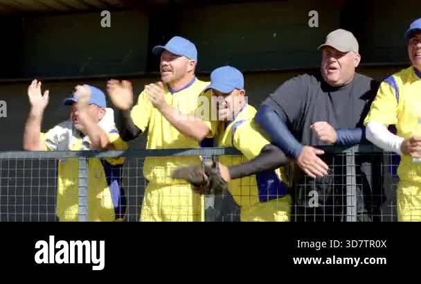 Watching play unfolding prompting male baseball teammates clapping ...