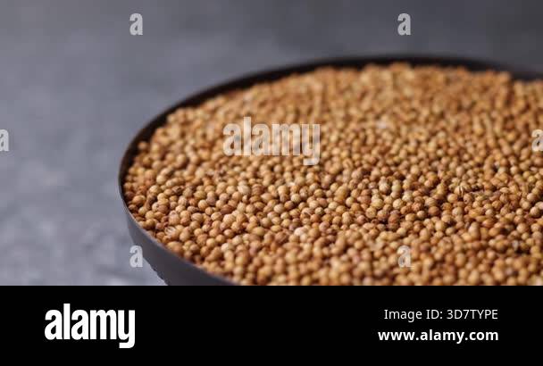 Macro close up video showing coriander seeds rotating slowly with tilt ...
