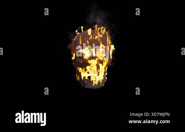 Skull catches on fire, burning skull VFX element - 4K, Pro Res, 60fps ...