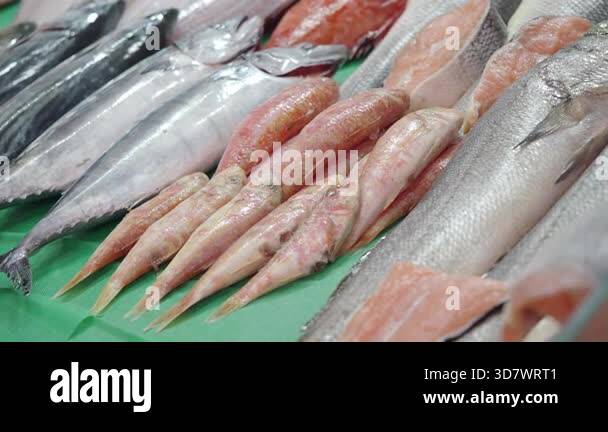 A colorful array of fresh fish and seafood is showcased at a market ...