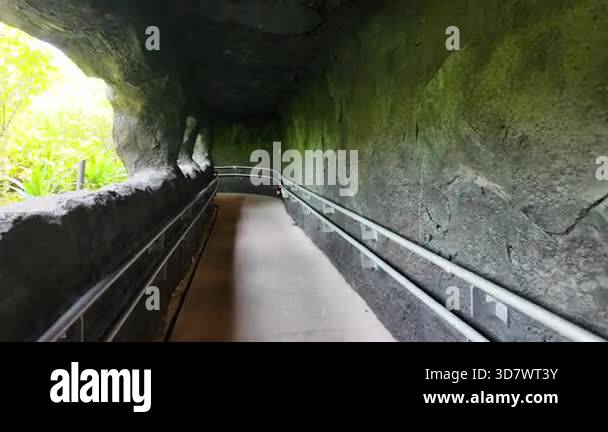 Walk along the smooth path inside a cave with green walls Stock Video ...
