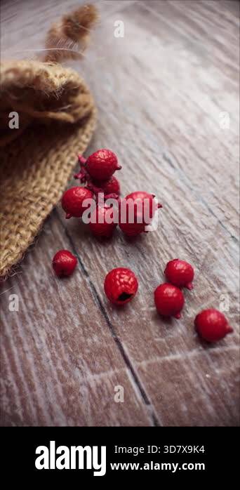 Vertical slow motion macro clip of red berries spilling from burlap as ...