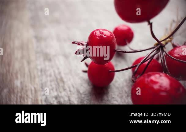 Slow motion macro clip of red berries on rustic wooden surface as ...