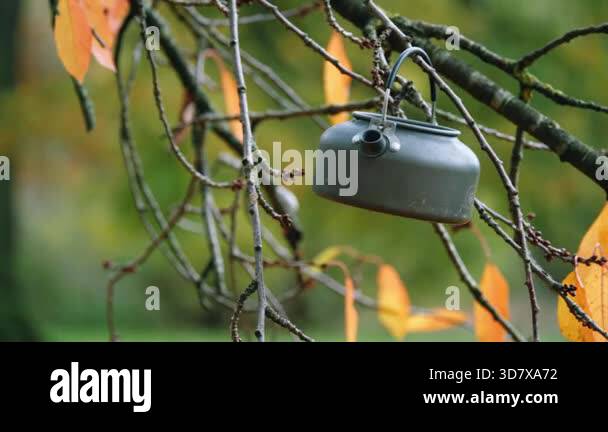 Camping kettle hanging in autumn tree branches medium 4k shot selective ...