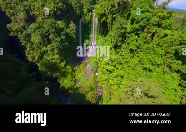 Cinematic FPV drone flight through lush jungle and the cascading stream ...