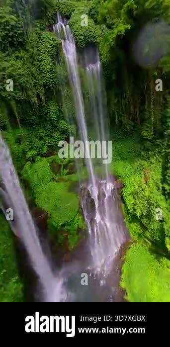 Cinematic FPV drone flight through lush jungle and the cascading stream ...