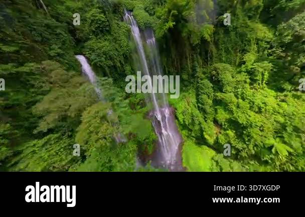 Cinematic FPV drone flight through lush jungle and the cascading stream ...