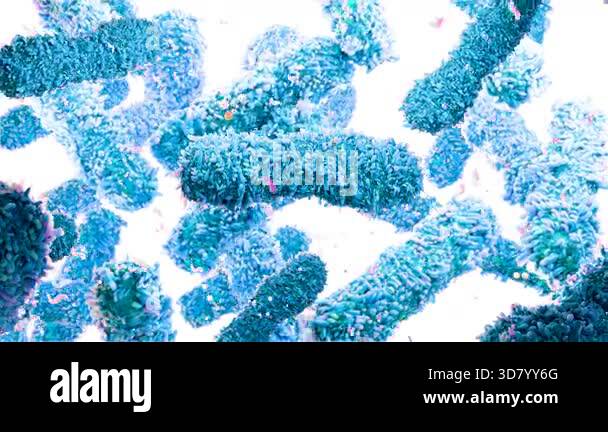 microscopic visualization of pathogenic bacteria causing infection ...