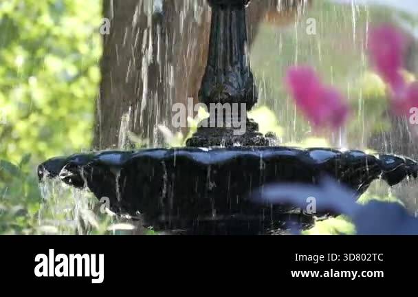 New York Manhattan Midtown Madison Square Park, United States of ...