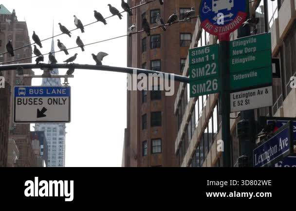 New York City street sign in Manhattan Midtown, United States. Urban ...