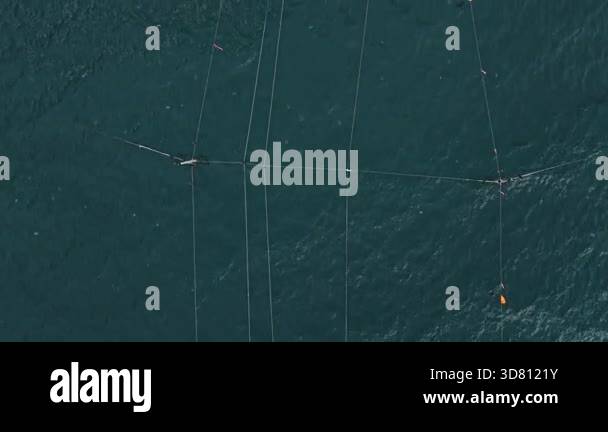 A drone captures a wide view of fishing nets spread across the dark ...