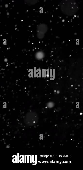 Vertical view of snow gently falling against a black background ...