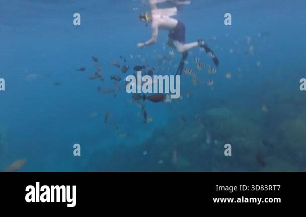The video shows a couple swimming in crystalclear ocean waters ...