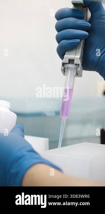 Technician pipetting purple reagent in modern PCR laboratory ...