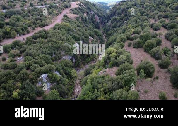 A rocky gorge with shrubs, herbs and small trees lies beside a national ...