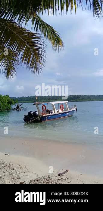 Speed boat docked in Nemo Reef, Havelock, Andaman, India Stock Video ...
