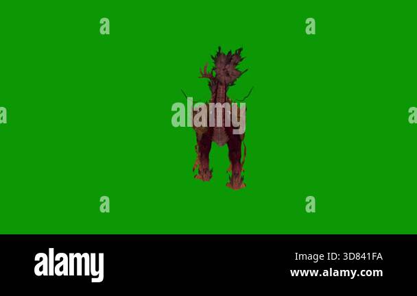 Epic 3D Dragon Run Scene Back Side On Green Screen Animation,Fantasy ...