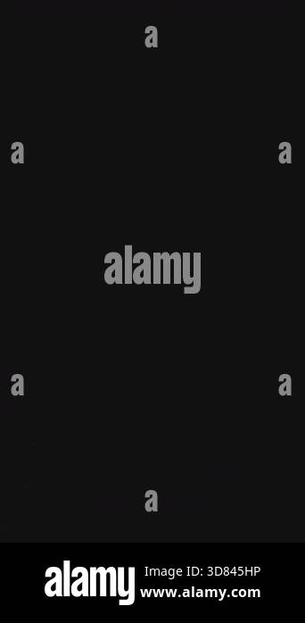 Loop animation of zooming text 'DIGITAL INVITE' forming circular mask ...