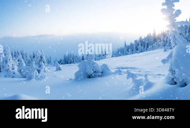 Snowflakes gently falling in slow motion create a peaceful and ...